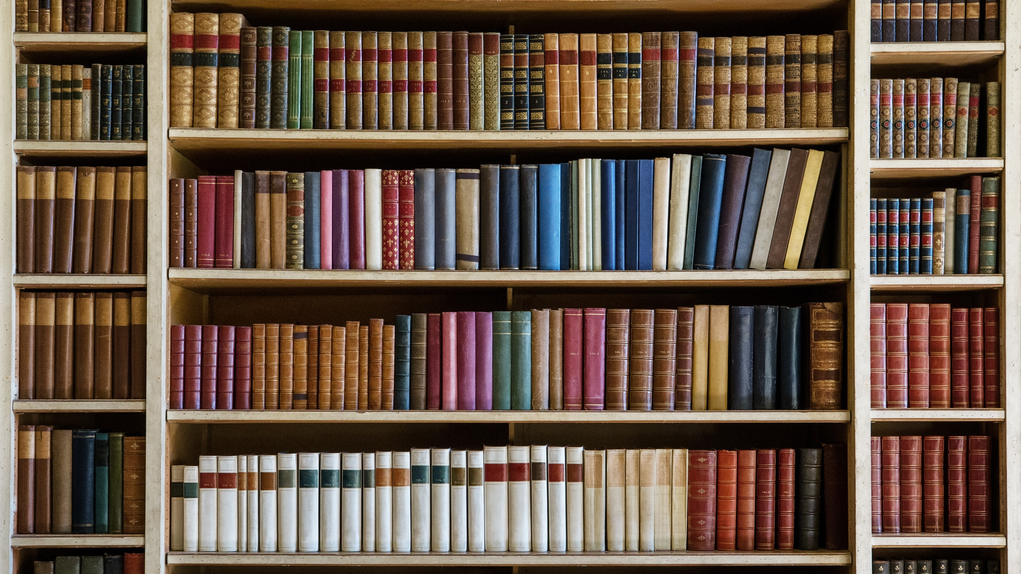 🦷 Mesial: Definition, Bedeutung und Anwendung in der Zahnmedizin